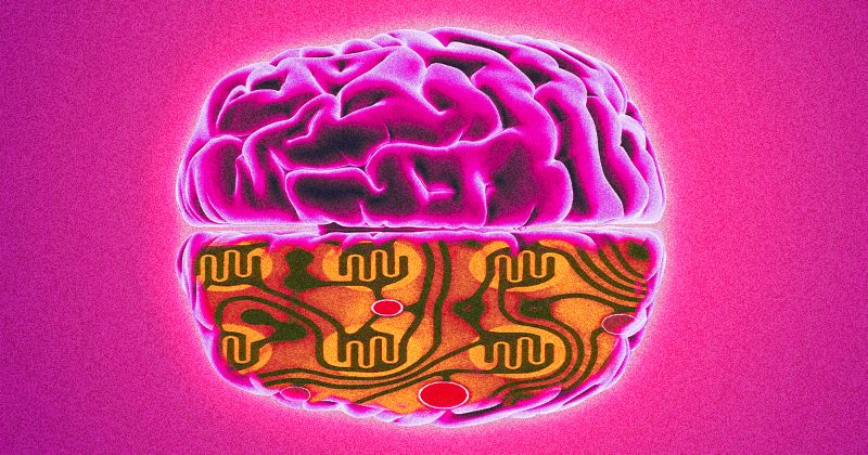 Unlocking Strange Cognitive Changes: How Brain Chips Like Neuralink are ...